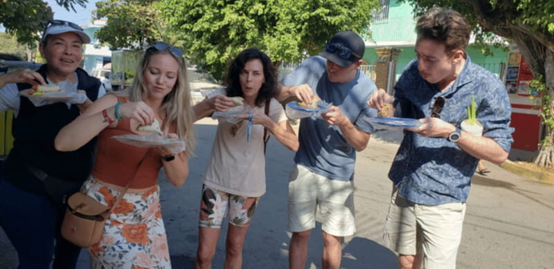 Puerto Vallarta: Taco Tour and Tequila Experience - Walking Through Agave Fields