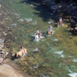 Puerto Vallarta: Tropical Forest Horseback Riding Adventure - The Perfect Mix of Adventure and Relaxation