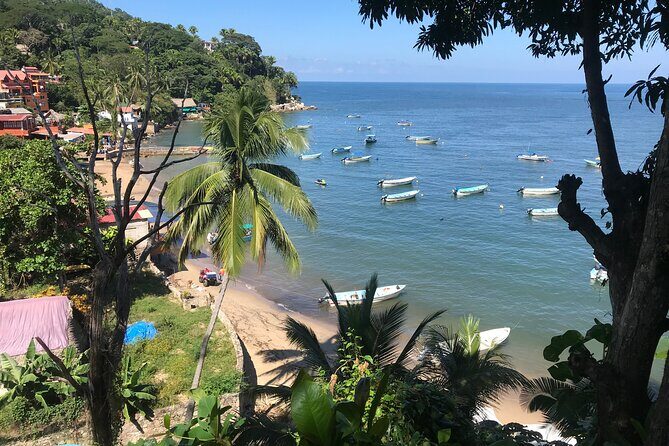 Puerto Vallarta's Yelapa Boat & Walking Tour with Tequila Tasting - Who Will Love This Tour?