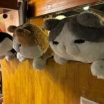 Purrrrfect Osaka Cook'n'eats - Atmosphere and Additional Highlights