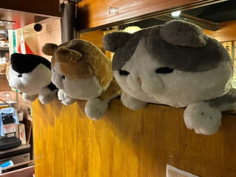 Purrrrfect Osaka Cook'n'eats - Atmosphere and Additional Highlights