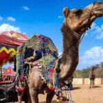 Pushkar Cultural Day Trip from Jaipur - A Complete Review of the Pushkar Day Trip