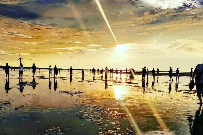 Qingjing Farm & Gaomei Wetlands Day Tour | From Taichung - Gaomei Wetlands: Coastal Shade and Sunset Magic