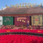 Quang Phu Cau Incense-Trang An-Mua Cave 1 Day Private tour - The Scenic Drive to Ninh Binh