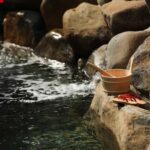 QungNinh: Yoko Onsen Quang Hanh Spa Entry Ticket with Lunch - What Are the Unique Experiences?