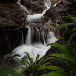 Rafting and Waterfall Tour from Phuket with 5 station Zipline - Why This Tour Works