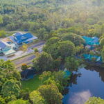 Rainforest Tour, Labuk Bay, Sun Bear & Sepilok | Sandakan - What Travelers Are Saying