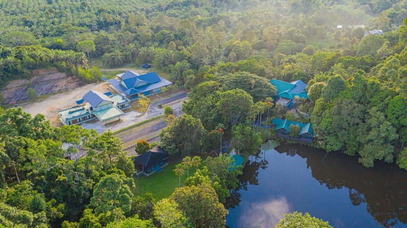 Rainforest Tour, Labuk Bay, Sun Bear & Sepilok | Sandakan - What Travelers Are Saying