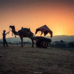 Rajasthan Heritage Tour - Who Will Love This Tour?