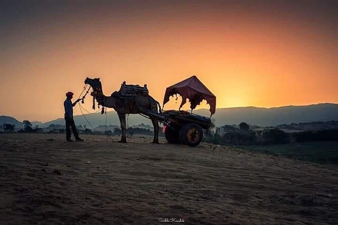 Rajasthan Heritage Tour - Who Will Love This Tour?