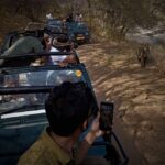 Ranthambore safari by Canter (20 seater) 24 hrs advance - The Safari Itself: What to Expect