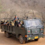 Ranthambore: Skip-the-Line Tiger Safari in Sharing Canter - Authentic Experiences and Traveler Insights