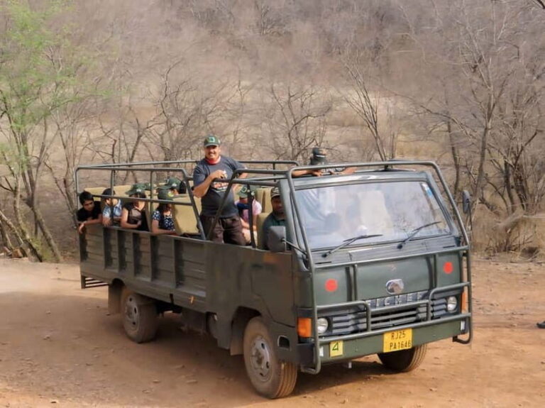 Ranthambore: Skip-the-Line Tiger Safari in Sharing Canter - Authentic Experiences and Traveler Insights