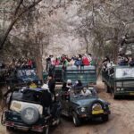 Ranthambore Tiger Safari In Canter 20 Seater All Inclusive visits - The Authenticity and Value of the Tour