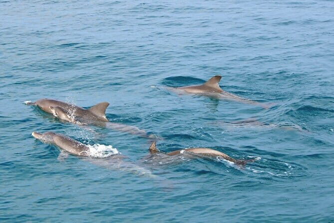 Raya Noi Island - Raya Yai Island - Maiton Island by Speedboat - Who Is This Tour Best For?