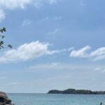 Real snorkel trip to explore Cham island by speedboat-SMALL GROUP - Authentic Marine Encounters and Professional Guides