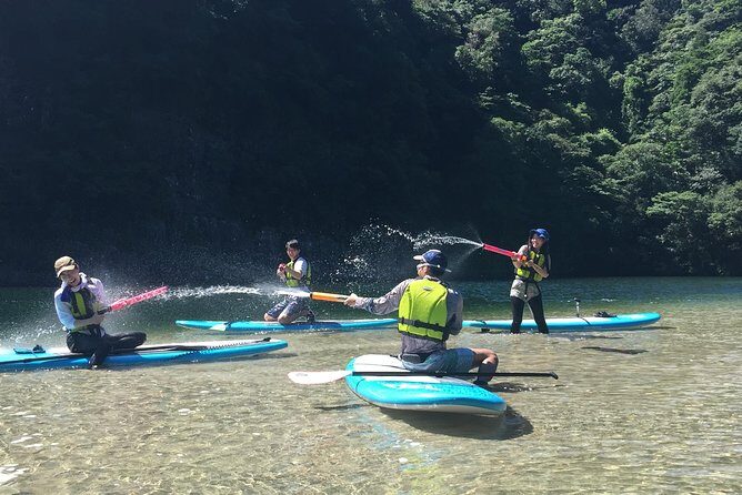 [Recommended on arrival date or before leaving! ] Relaxing and relaxing water walk Awakawa River SUP [Half-day tour] - Who Is This Tour For?