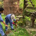 Red Panda Volunteer in Wolong Panda Base Private Tour - Detailed Breakdown of the Itinerary