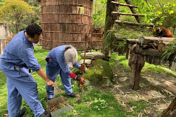 Red Panda Volunteer in Wolong Panda Base Private Tour - Detailed Breakdown of the Itinerary
