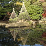 Red, Yellow and Brown - Visit autumn leaves spots in Tokyo - Top Highlights of the Tour