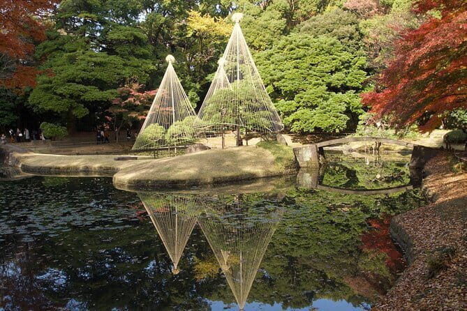 Red, Yellow and Brown - Visit autumn leaves spots in Tokyo - Top Highlights of the Tour