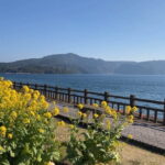 Rejuvenate Your Senses:Sand Steam Bliss & Mysteries of Lake Ikeda - What the Tour Involves