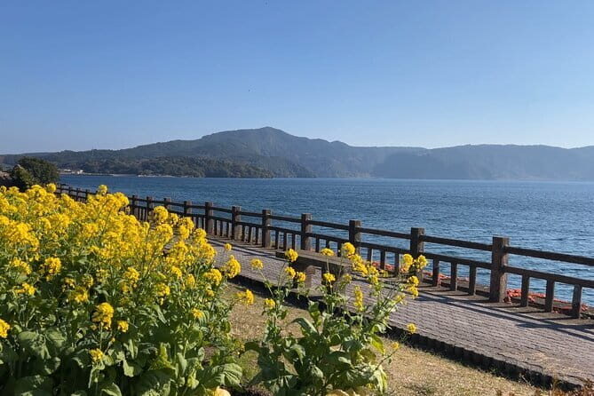 Rejuvenate Your Senses:Sand Steam Bliss & Mysteries of Lake Ikeda - What the Tour Involves