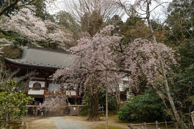 Relaxed Nara Tour from Osaka: Hasedera and Muroji Temples - What Travelers Say and Why It Matters