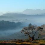 Religious Sightseeing Tour - What We Think About the Value