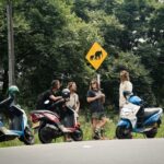 Rent motorbikes Ahungalla - What to Expect When Riding in Sri Lanka