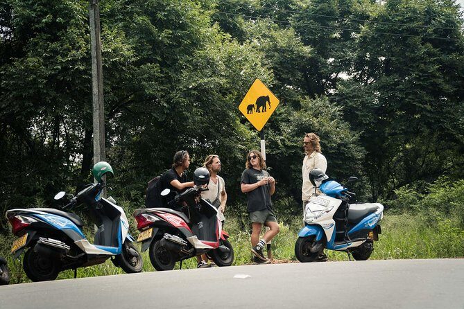 Rent motorbikes Ahungalla - What to Expect When Riding in Sri Lanka