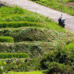 Rental Motorcycle Tour in Kyoto: Arashiyama & West Temple - The Practical Side