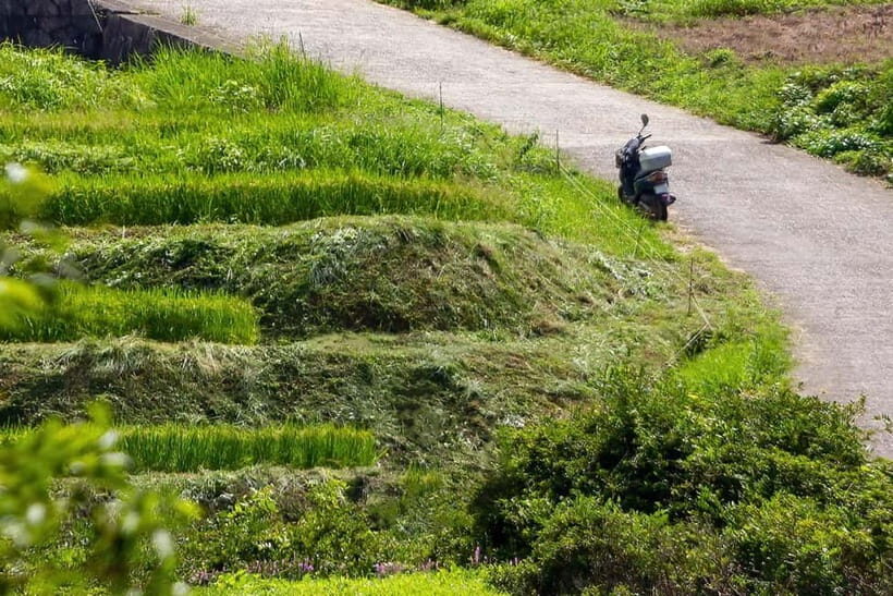 Rental Motorcycle Tour in Kyoto: Arashiyama & West Temple - The Practical Side