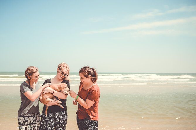 Rescue P.A.W.S. Day Visit - What Sets This Tour Apart?