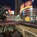 Restaurant Bus Tokyo with Japanese Lunch and Zazen Experience - The Experience: What Youll Love