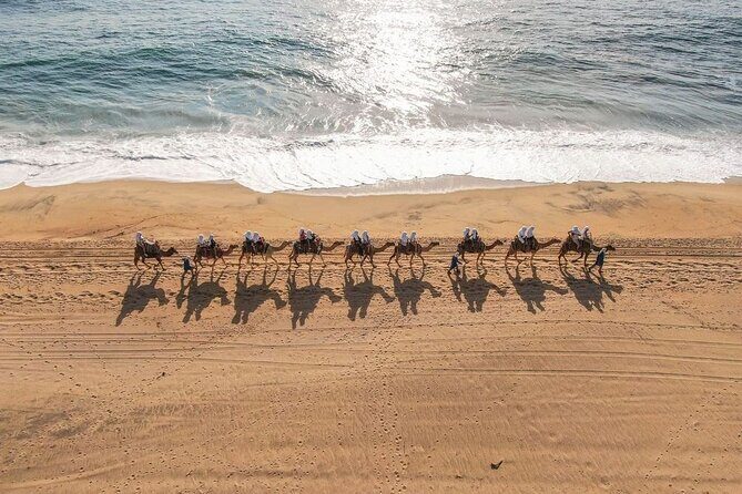 Ride the Wild Camel Safari and Off Road Rush - Final Thoughts: Is This Tour Worth It?