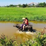 Riding Water Buffalo Hoi An Private Bike Tour - What Could Be a Drawback