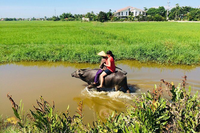 Riding Water Buffalo Hoi An Private Bike Tour - What Could Be a Drawback