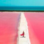 Rio Lagartos and Las Coloradas Day Tour from Cancun - Transportation, Duration, and Group Dynamics