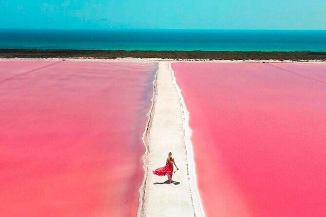 Rio Lagartos and Las Coloradas Day Tour from Cancun - Transportation, Duration, and Group Dynamics