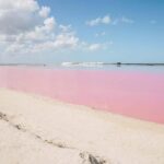Río Lagartos and Las Coloradas: Natural Experience - What Makes This Tour Special?
