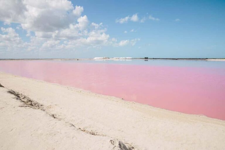Río Lagartos and Las Coloradas: Natural Experience - What Makes This Tour Special?