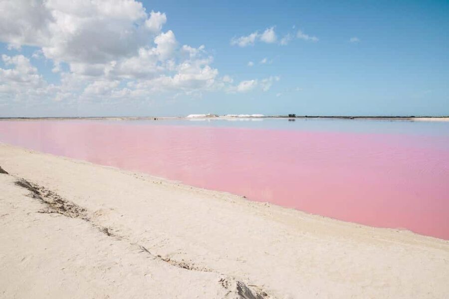 Río Lagartos and Las Coloradas: Natural Experience - What Makes This Tour Special?