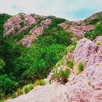 Ritigala, Kala Wewa and Namal Uyana from Dambulla - Practical Insights and Value