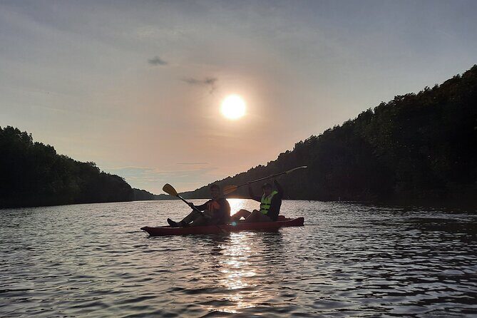 River Exploration and Mangrove Nature Tour by kayaking - What Makes This Tour Stand Out