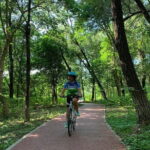 Riverside Cycling with a Native - The Route’s Highlights and Potential Drawbacks