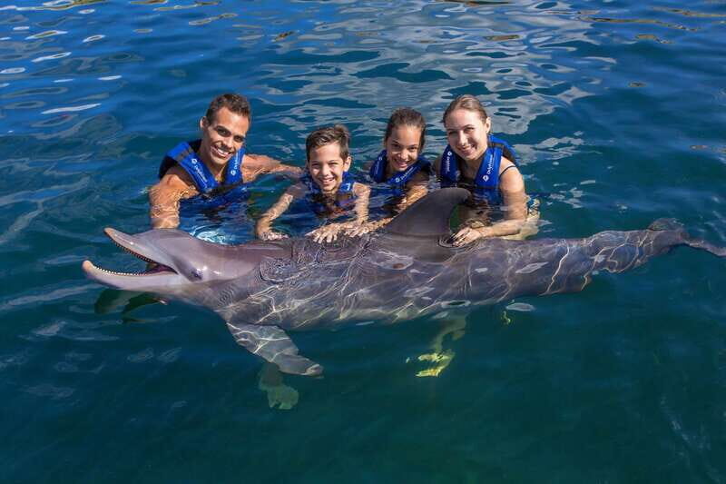 Riviera Maya: Swimming Experience with Dolphins - Key Points