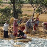 Roam around Newari towns Bungmati, Khokana and explore Patan Durbar Square - Bungamati: A Step Into Medieval Nepal