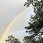 Rocky Mountain National Park Grand Lake Tour - An In-Depth Look at the Rocky Mountain National Park Grand Lake Tour