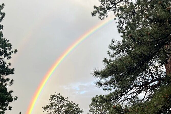 Rocky Mountain National Park Grand Lake Tour - An In-Depth Look at the Rocky Mountain National Park Grand Lake Tour